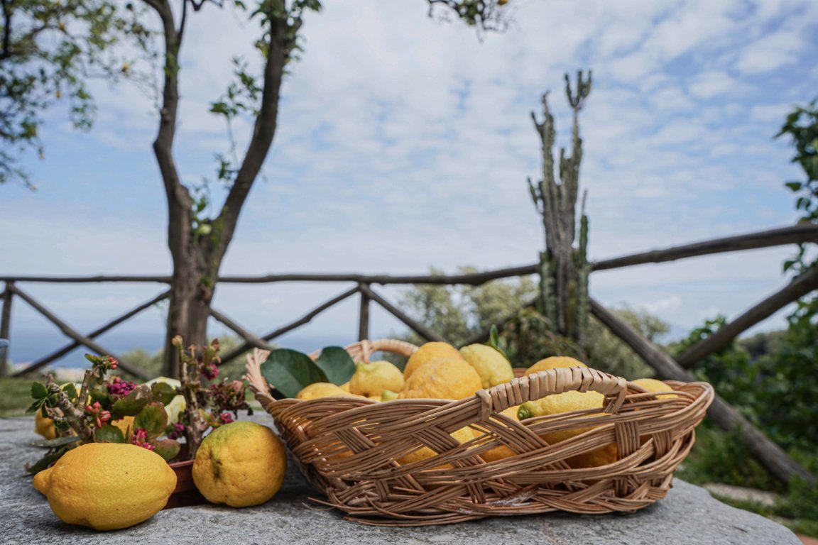 Sorrento Lemon Tour and Limoncello Tasting - SorrentoVibes